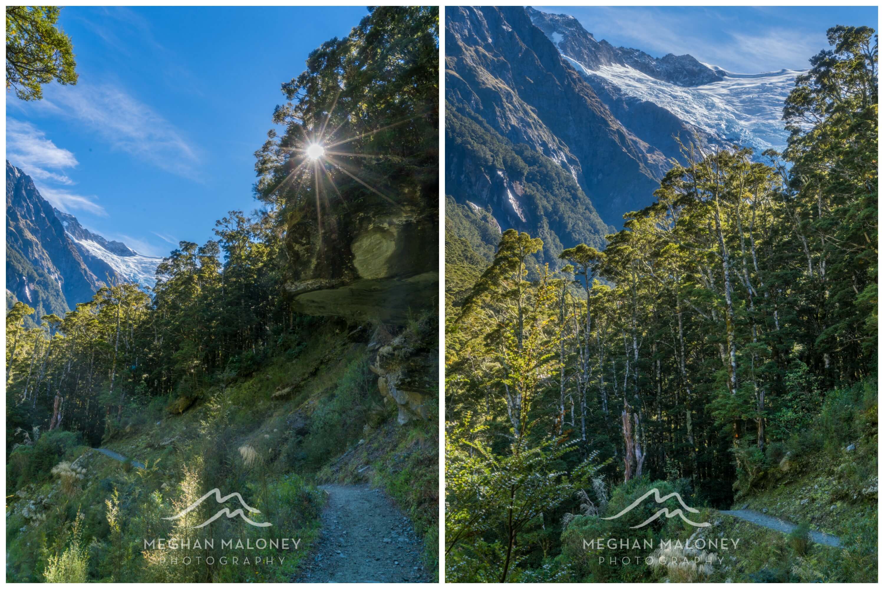 New Zealand's Best Day Hikes - Rob Roy Glacier Track