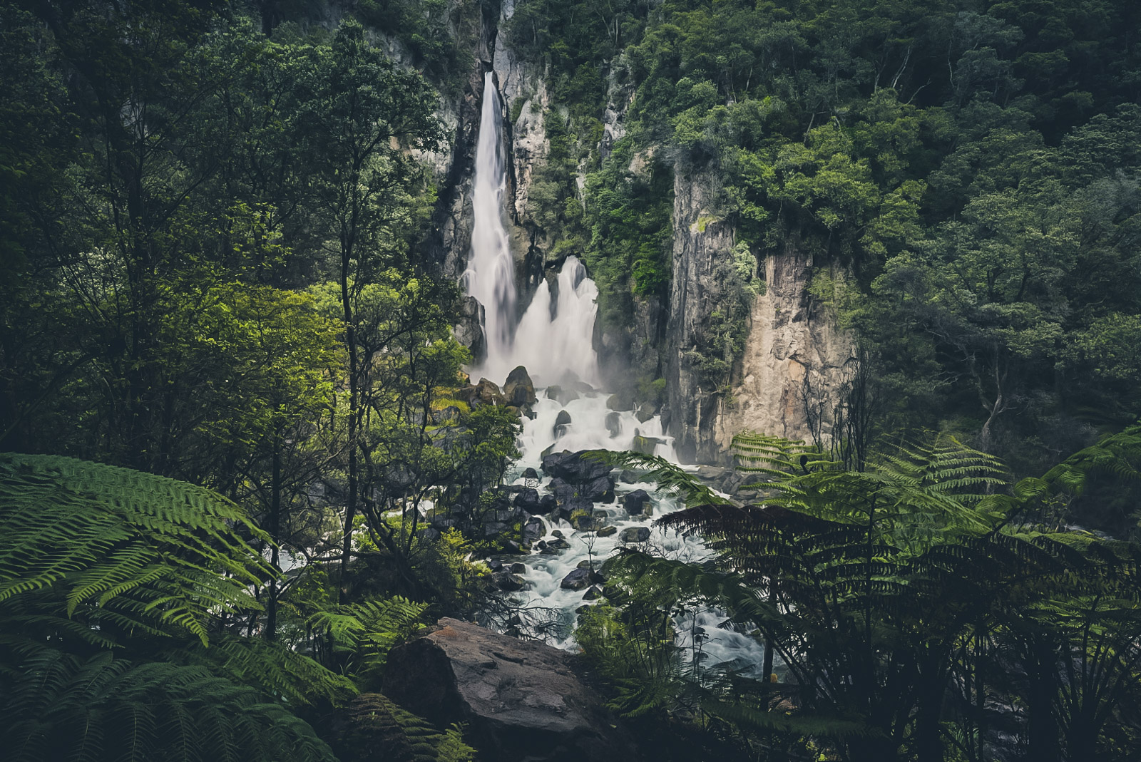 5 Reasons Why Tarawera Falls is NZ's Most Epic Waterfall Location