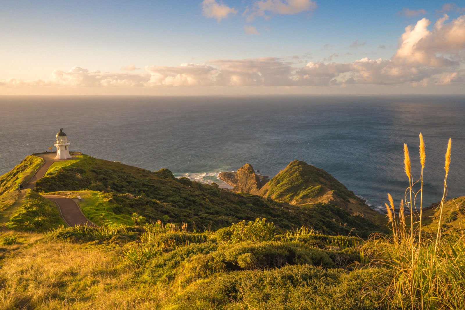 10 Must Visit Locations in Northland, New Zealand