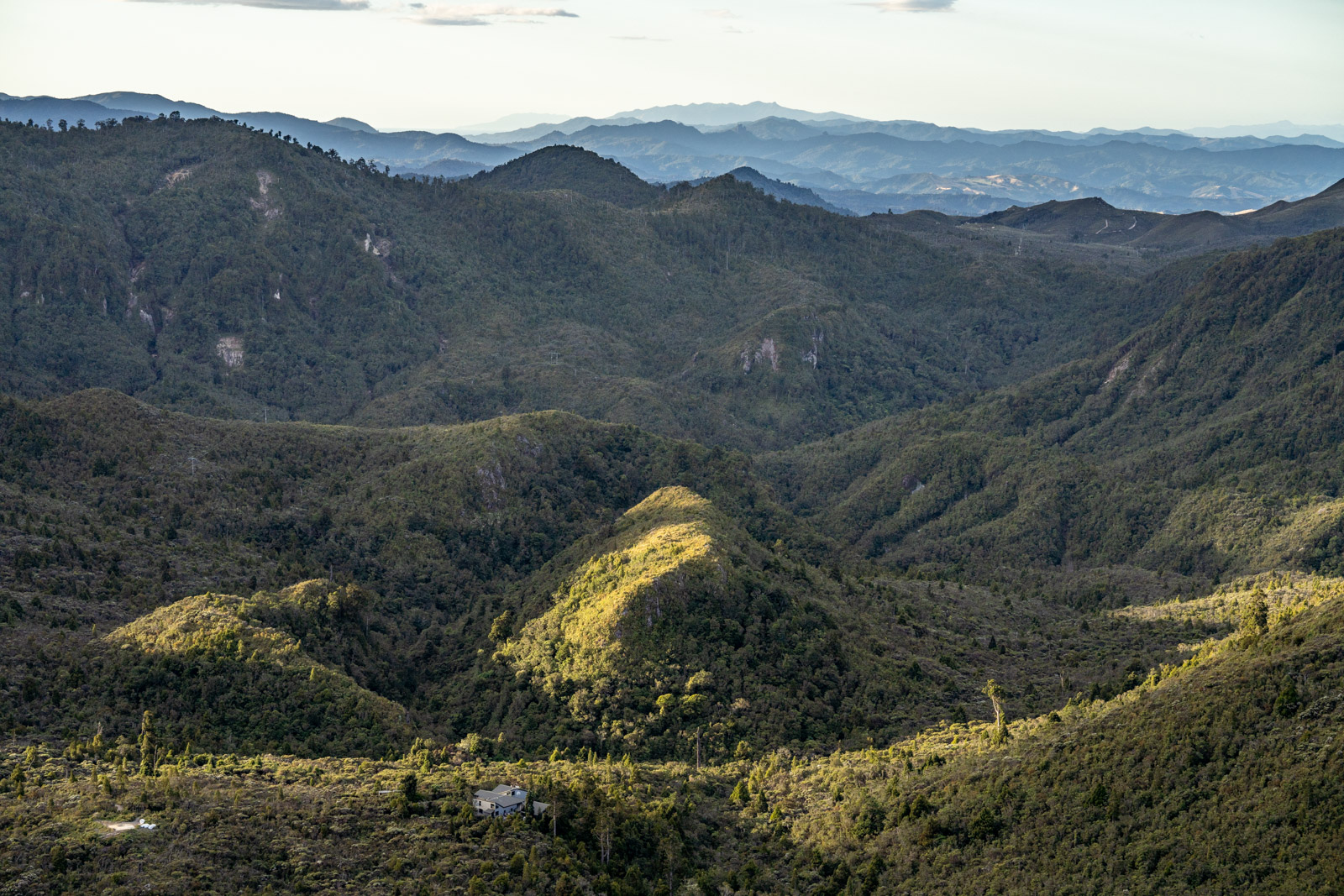 Hiking The Pinnacles | Coromandel | A Review & Tips for the Walk