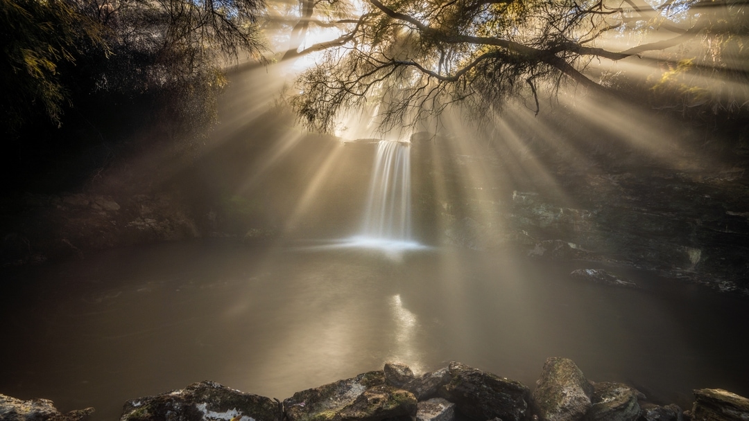 Observing Nature in Photography | Slowing Down to Enjoy the Moment