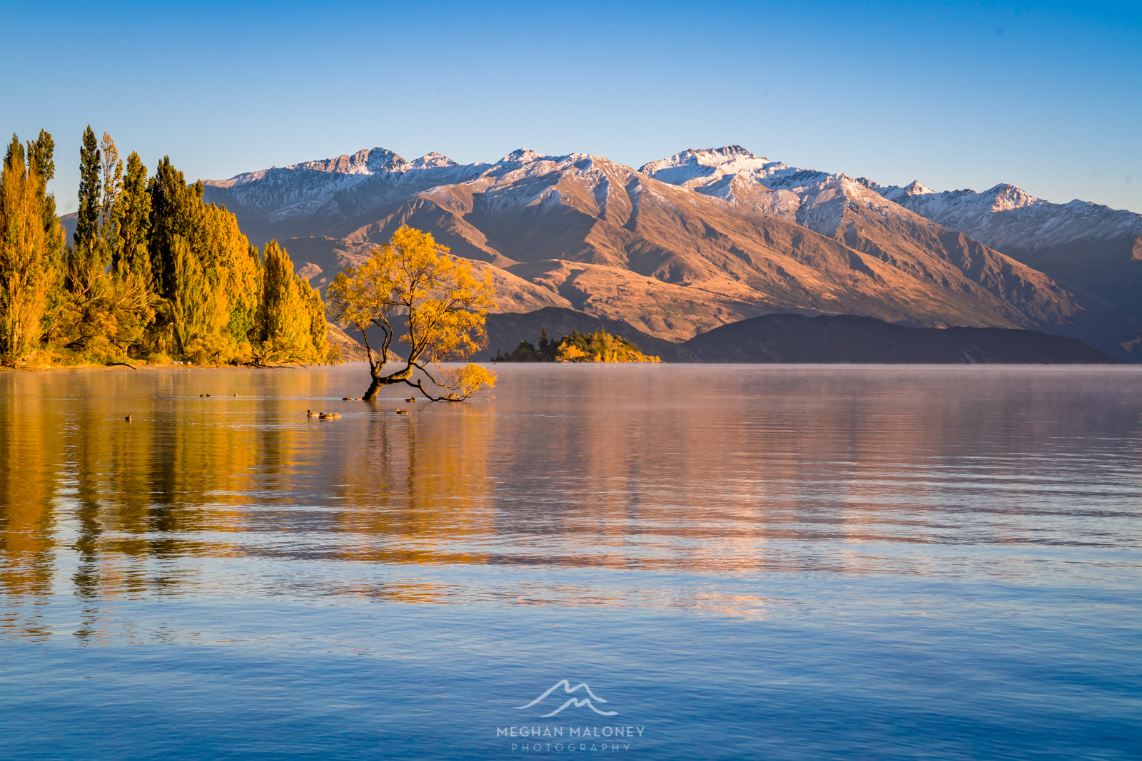 7 Amazing Autumn Locations in the South Island, NZ | Find the Best ...
