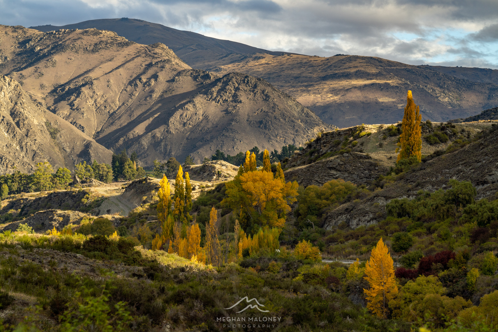 7 Amazing Autumn Locations in the South Island, NZ | Find the Best ...