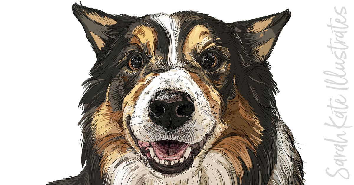 Sarah Kate Illustrates | Dog Portrait Artist | Custom Pet Portraits