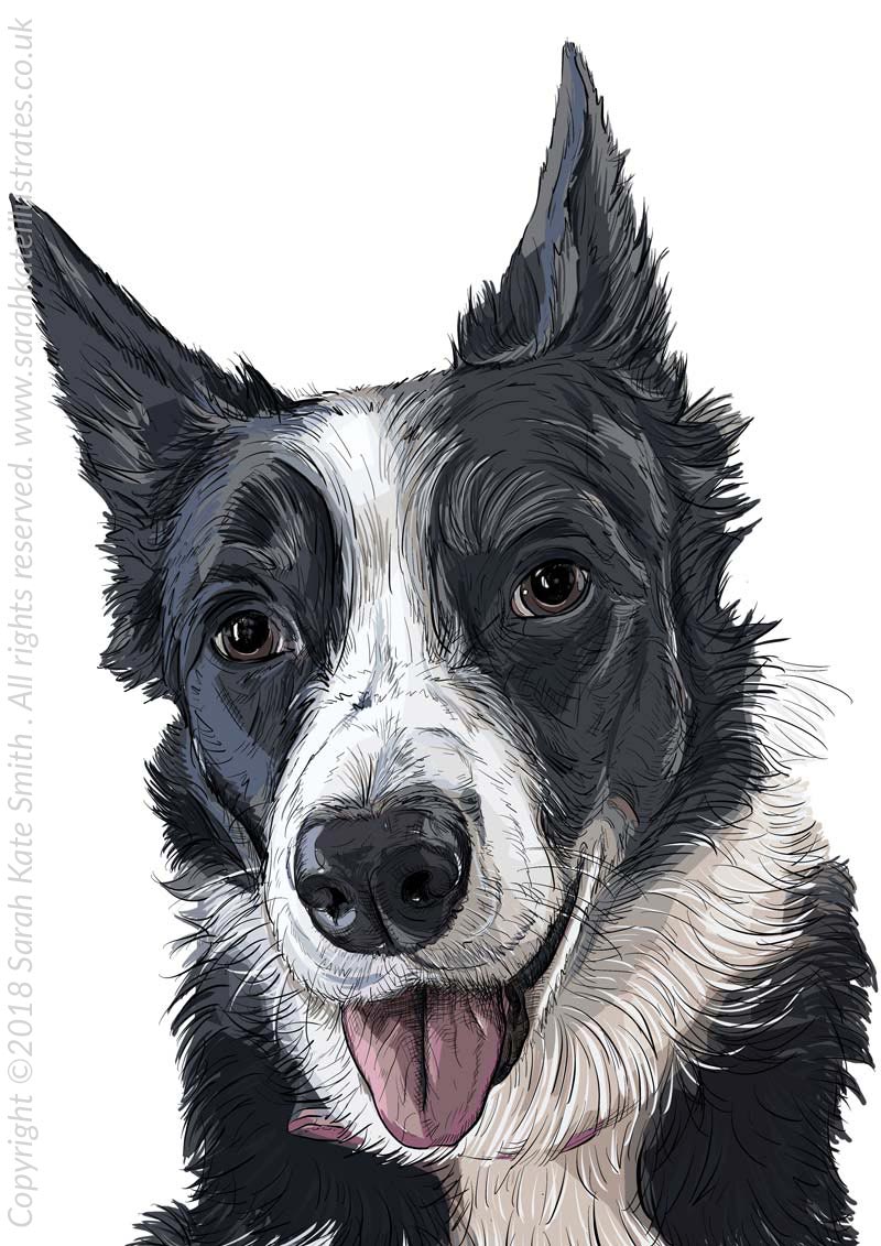 Sarah Kate Illustrates | Dog Portrait Artist | Custom Pet Portraits