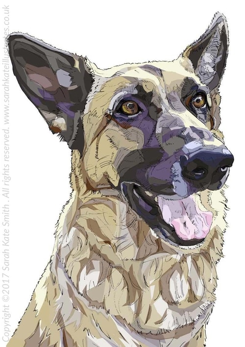 Sarah Kate Illustrates | Dog Portrait Artist | Custom Pet Portraits