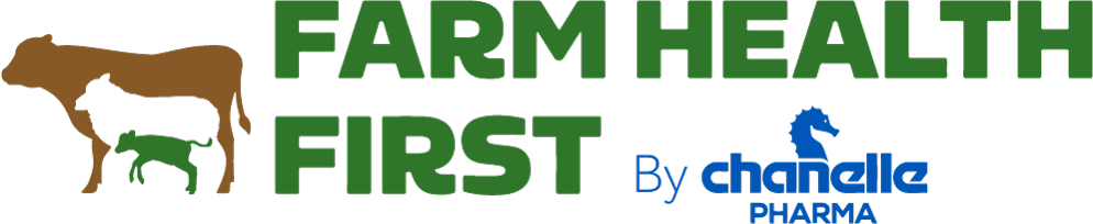 Rumen Fluke | Diseases & Solutions | Farm Health First