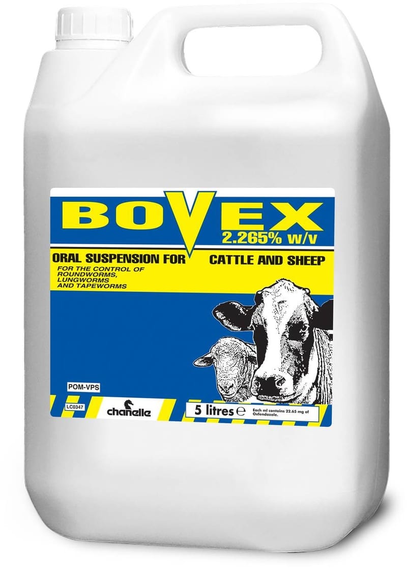 Gastrointestinal Worms in Cattle | Diseases & Solutions | Farm Health First