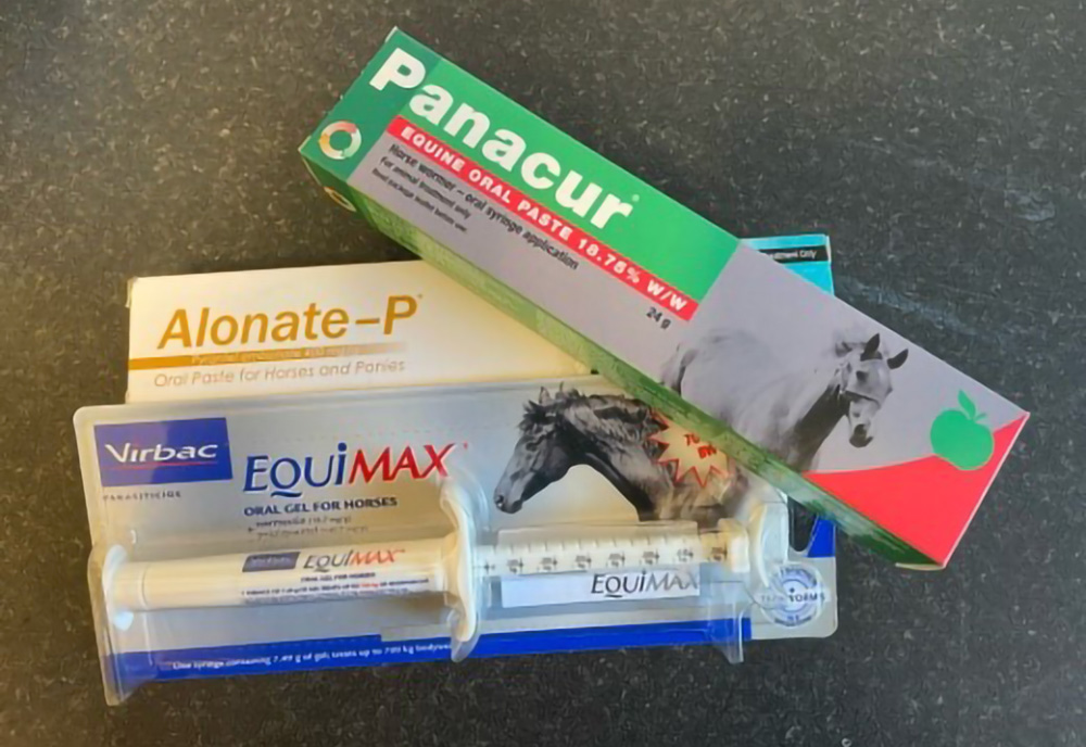 Abbey Equine's Top Horse Care Tips for Winter