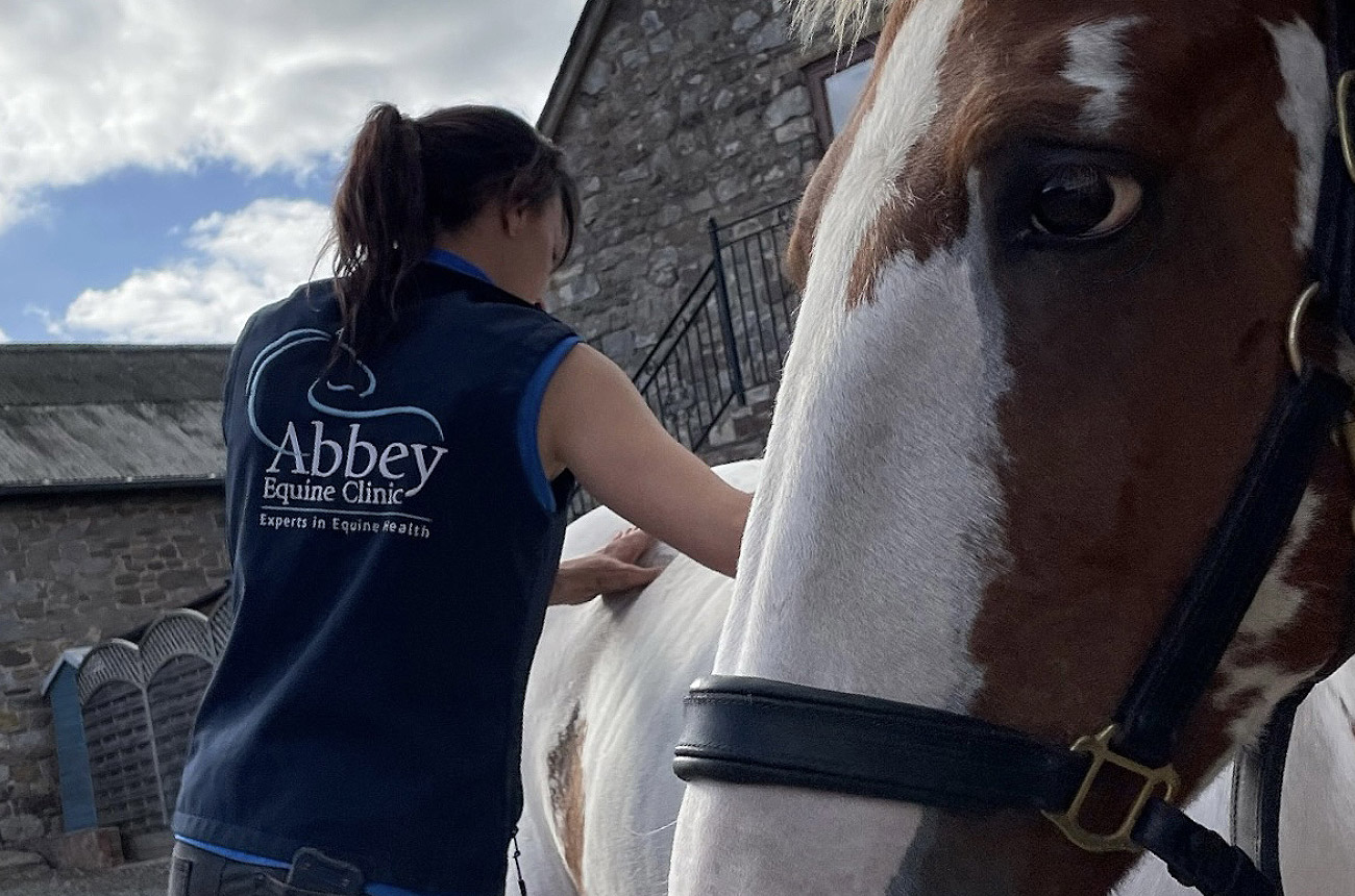 Abbey Equine | Our Services