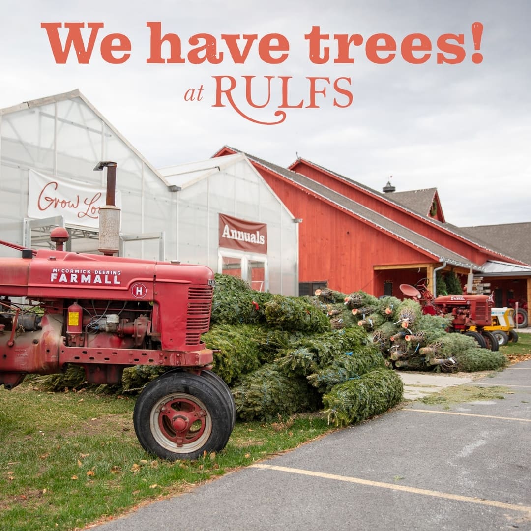 Rulfs Orchard - News & Updates - Peru, NY