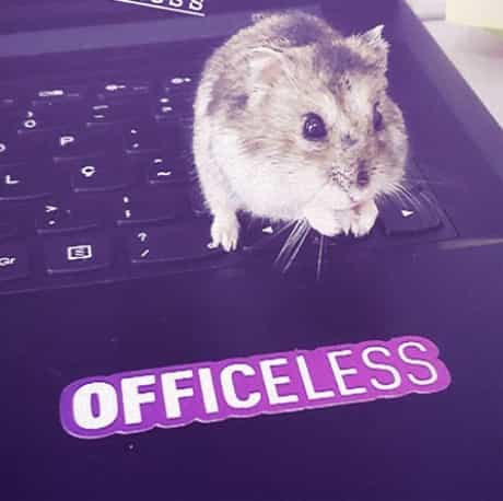 Officeless – Existe uma forma melhor de viver e trabalhar.