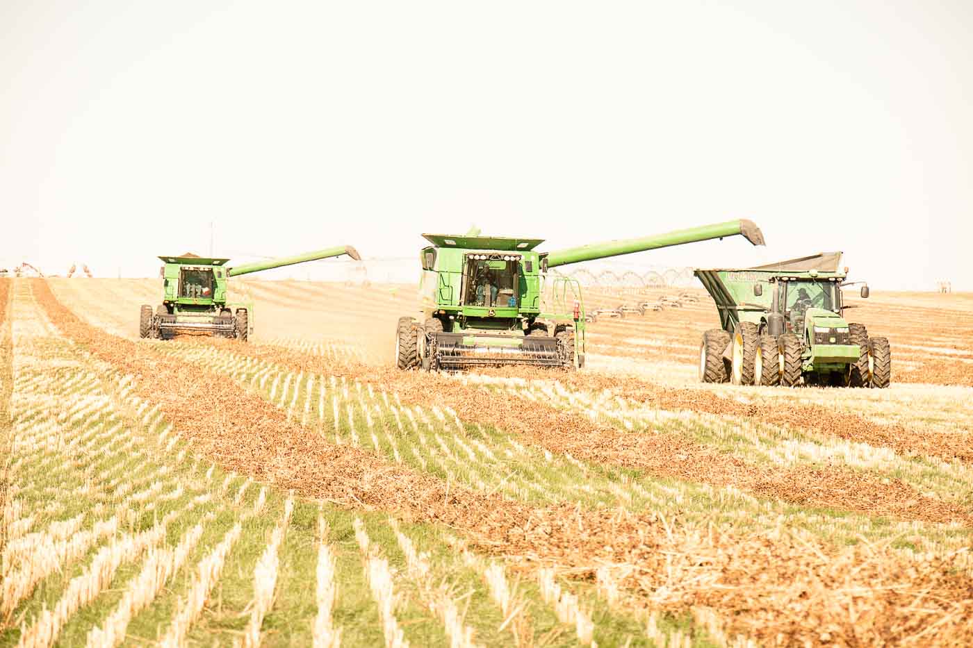 Victory Ag, Farms, Logistics | A Columbia Basin Farming and Trucking ...