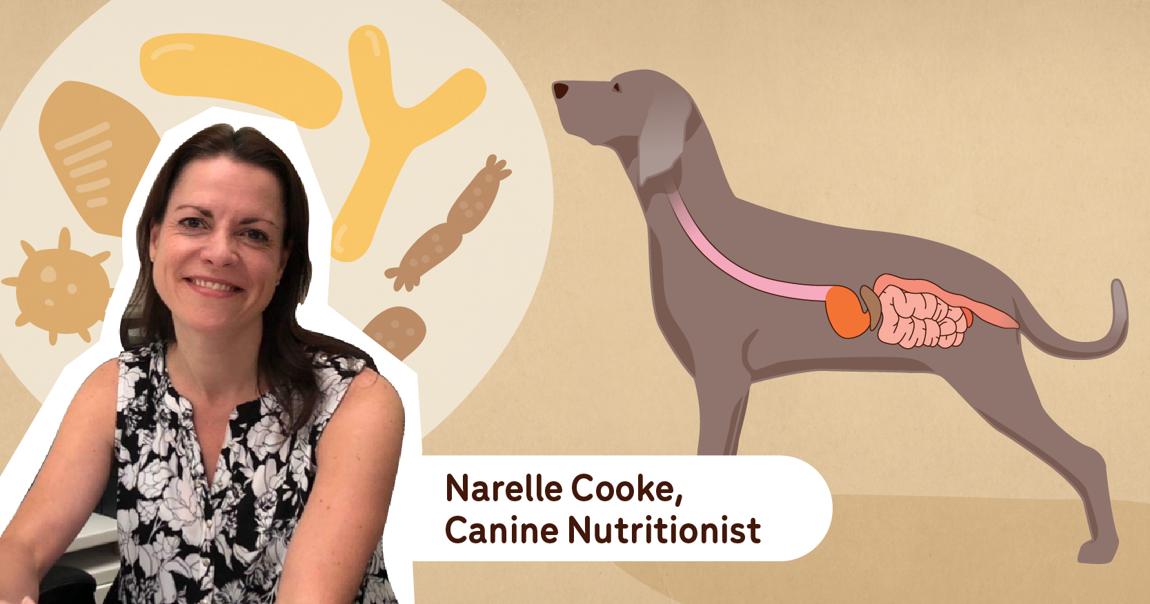The Impact of Diet on the Canine Microbiome - Guides | Big Dog Pet Foods