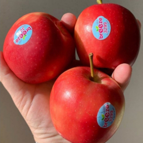 Breeze Apples - New Zealand’s first apple