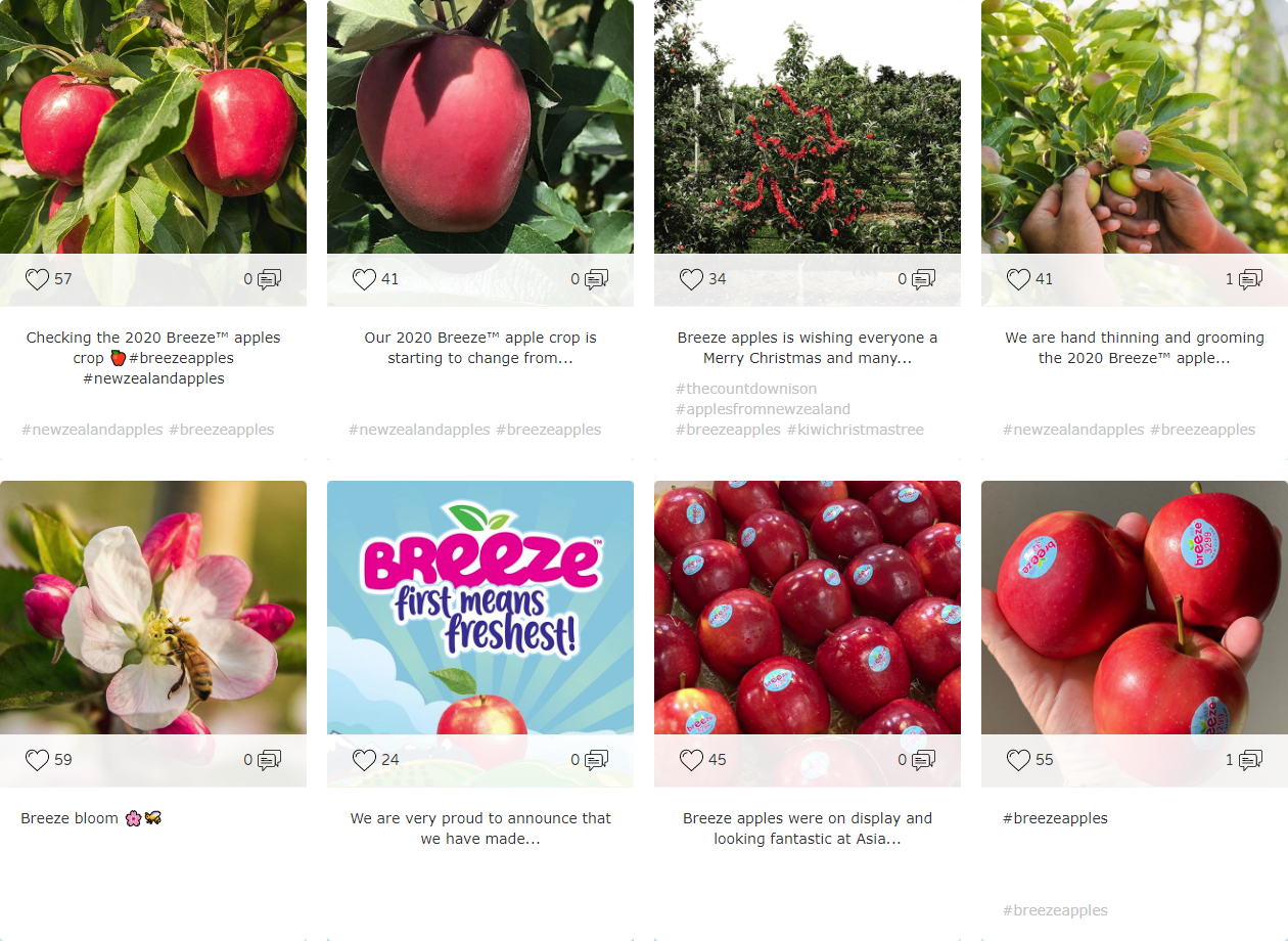 Breeze Apples - New Zealand’s first apple
