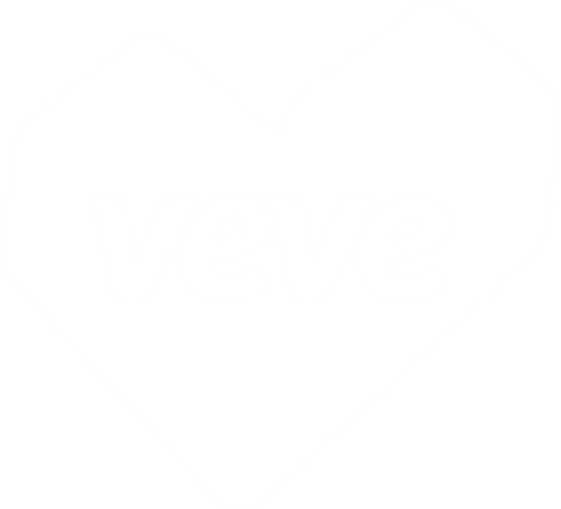 VeVe Digital Collectibles