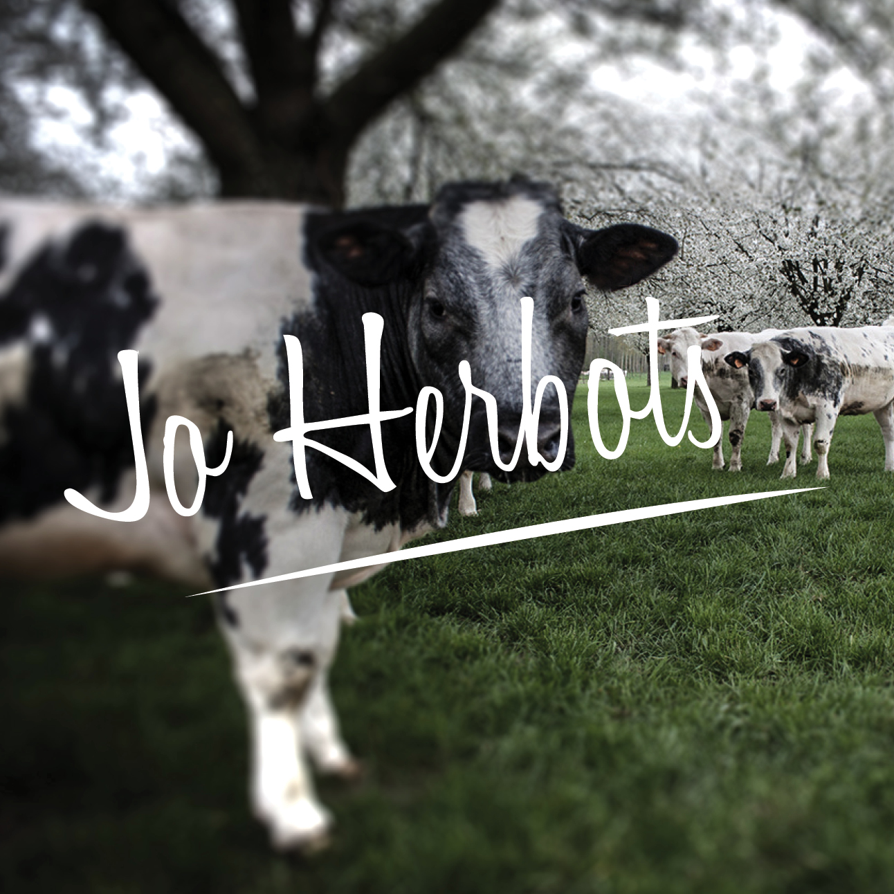 Doublegum project: Jo Herbots