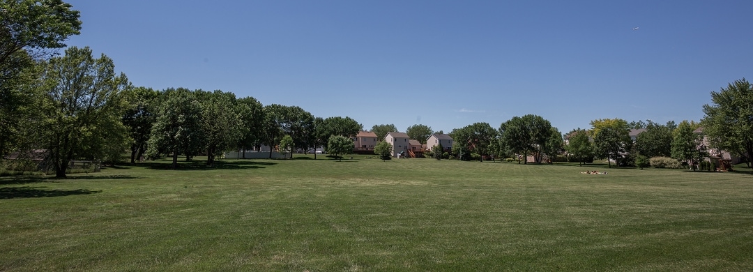 Roselle Park District (RPD)