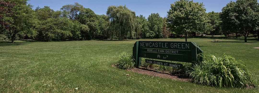 Roselle Park District (RPD)