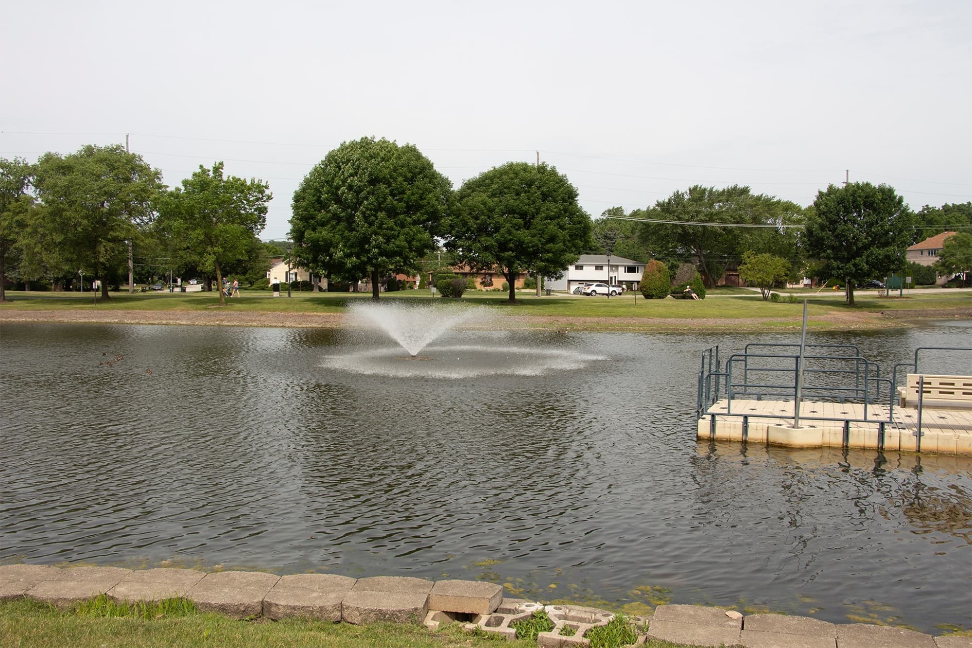 Roselle Park District (RPD)