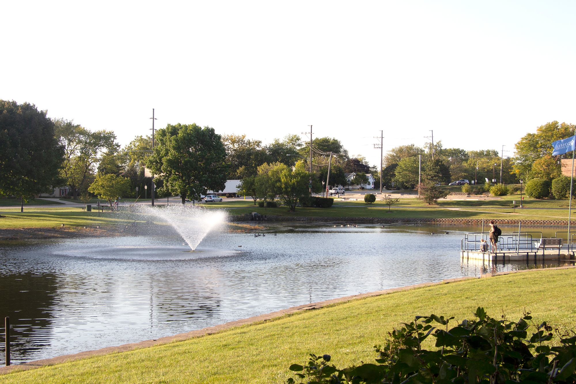 Roselle Park District (RPD)