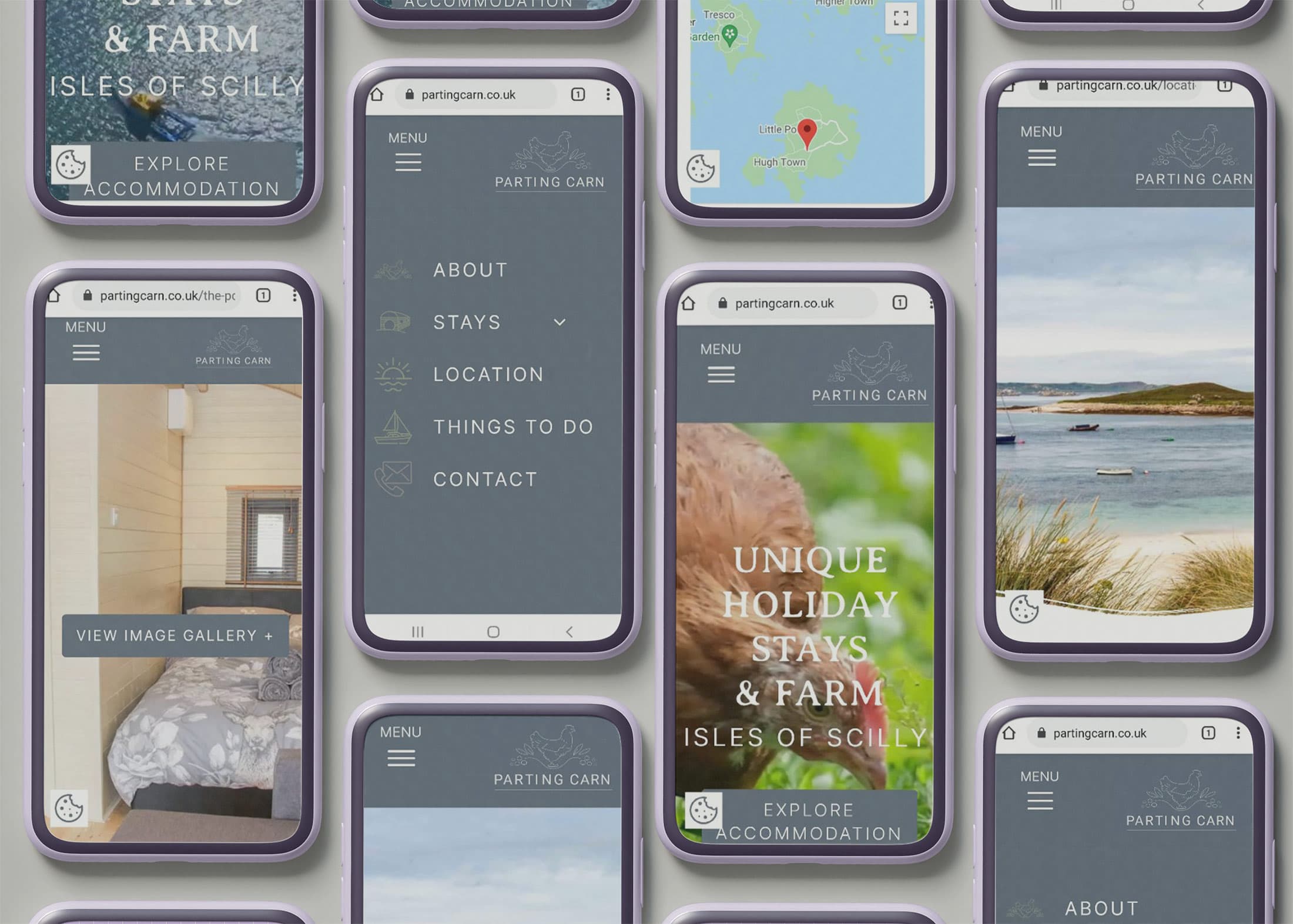 Parting Carn Farm - Marketing Project Details