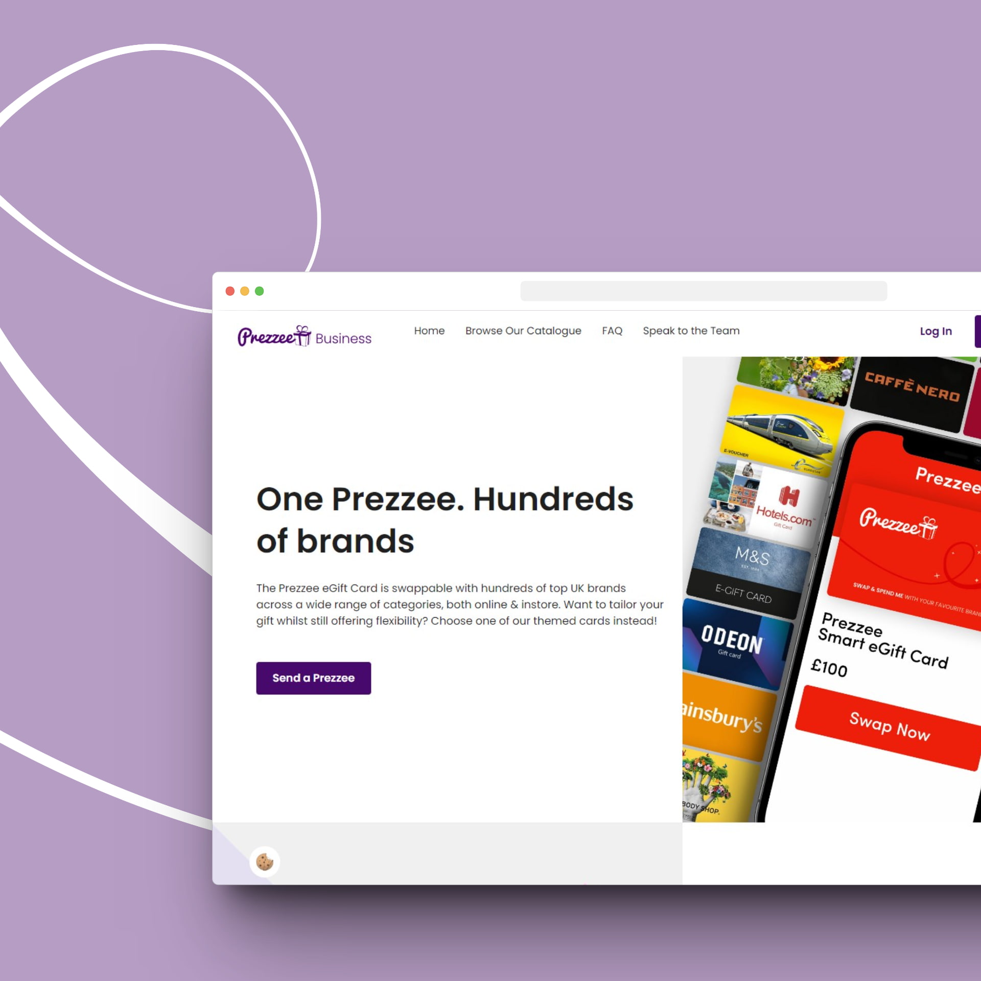 Prezzee - Marketing Project Details