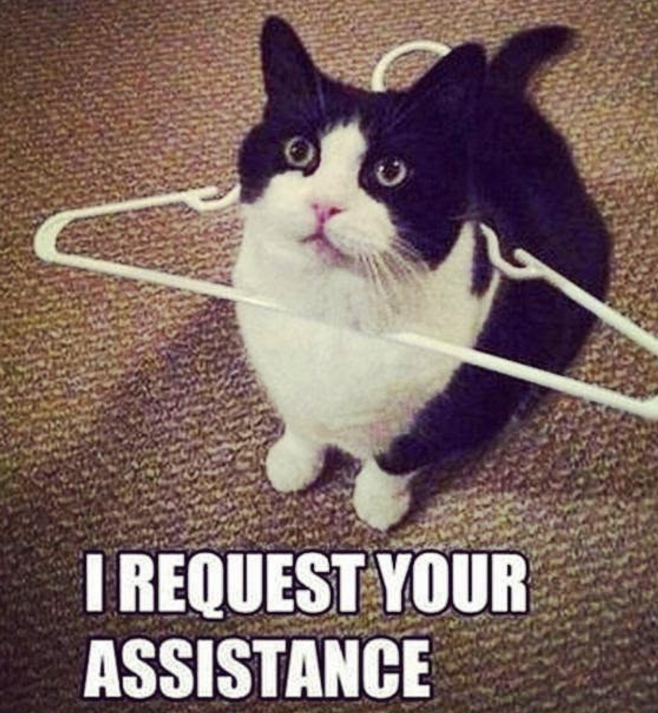 Computer Vision: Everything You Need to Know