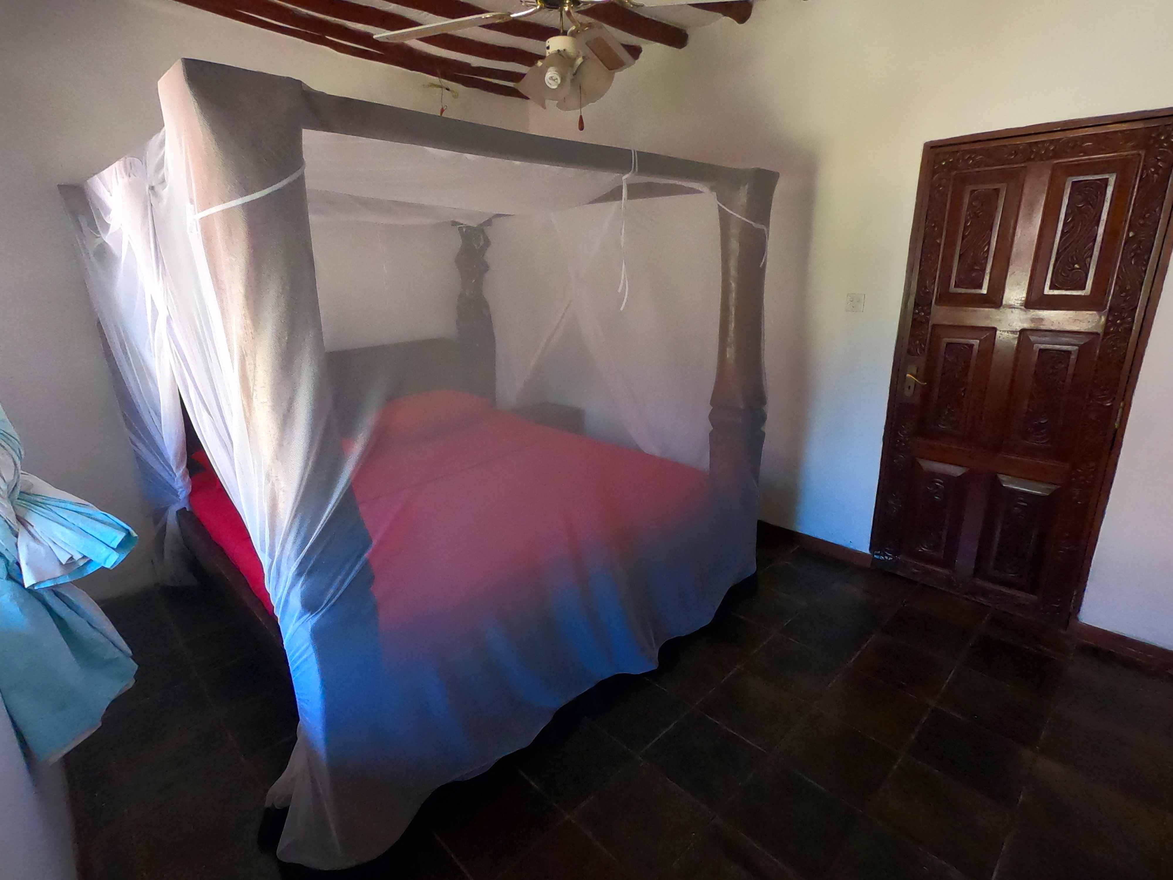Diani Backpackers - Diani Beach - Kenya