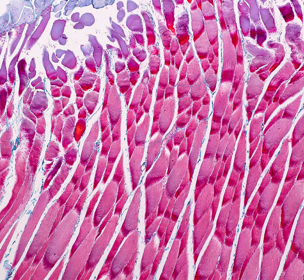 Culinary Adventures Through Our Changing World