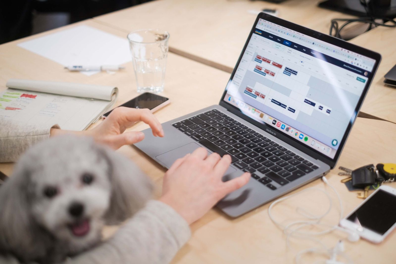 Blog | Care Industry News, Advice And More | Birdie