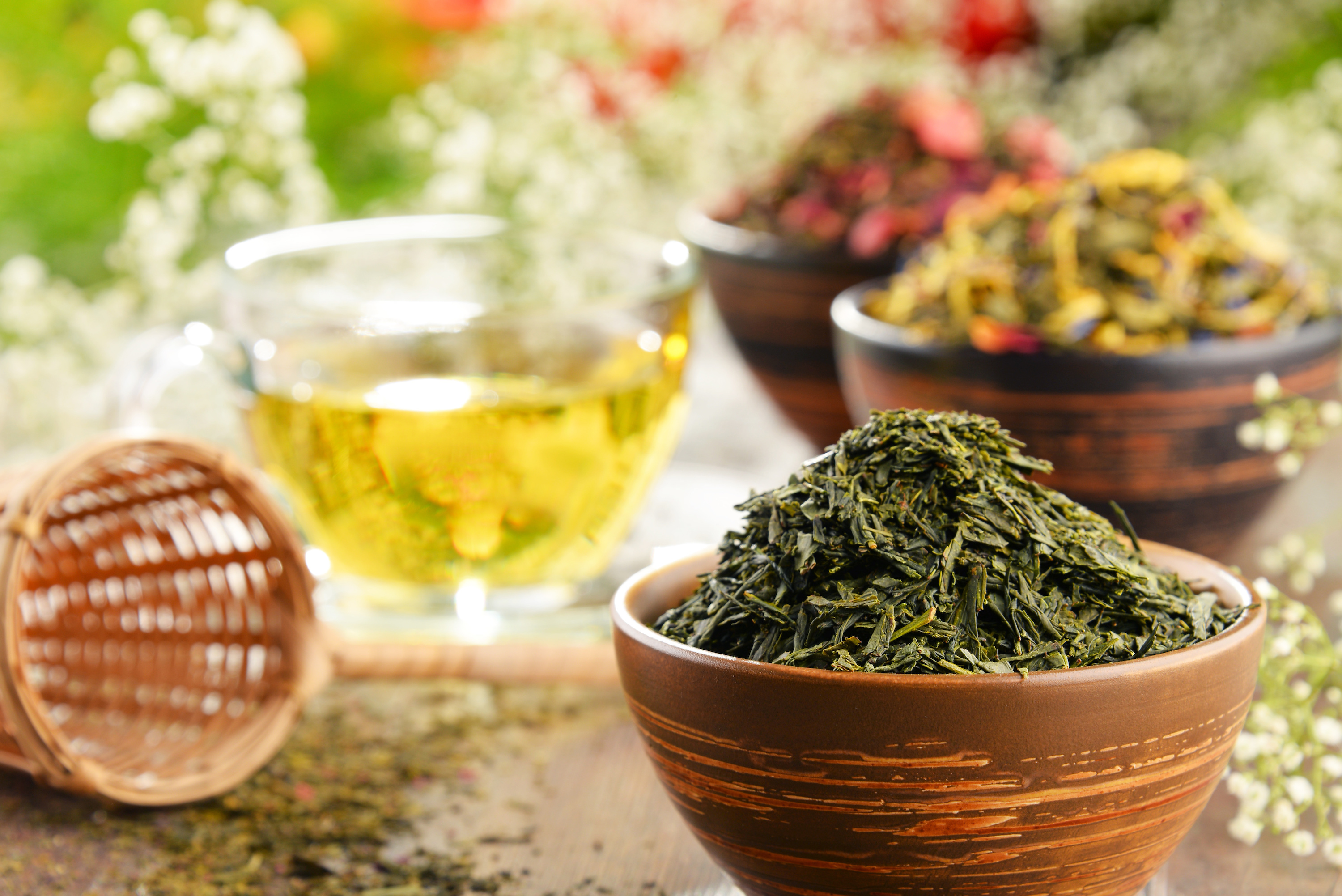 Shincha: Your Guide to Japanese Sencha Green Tea - Cup & Leaf