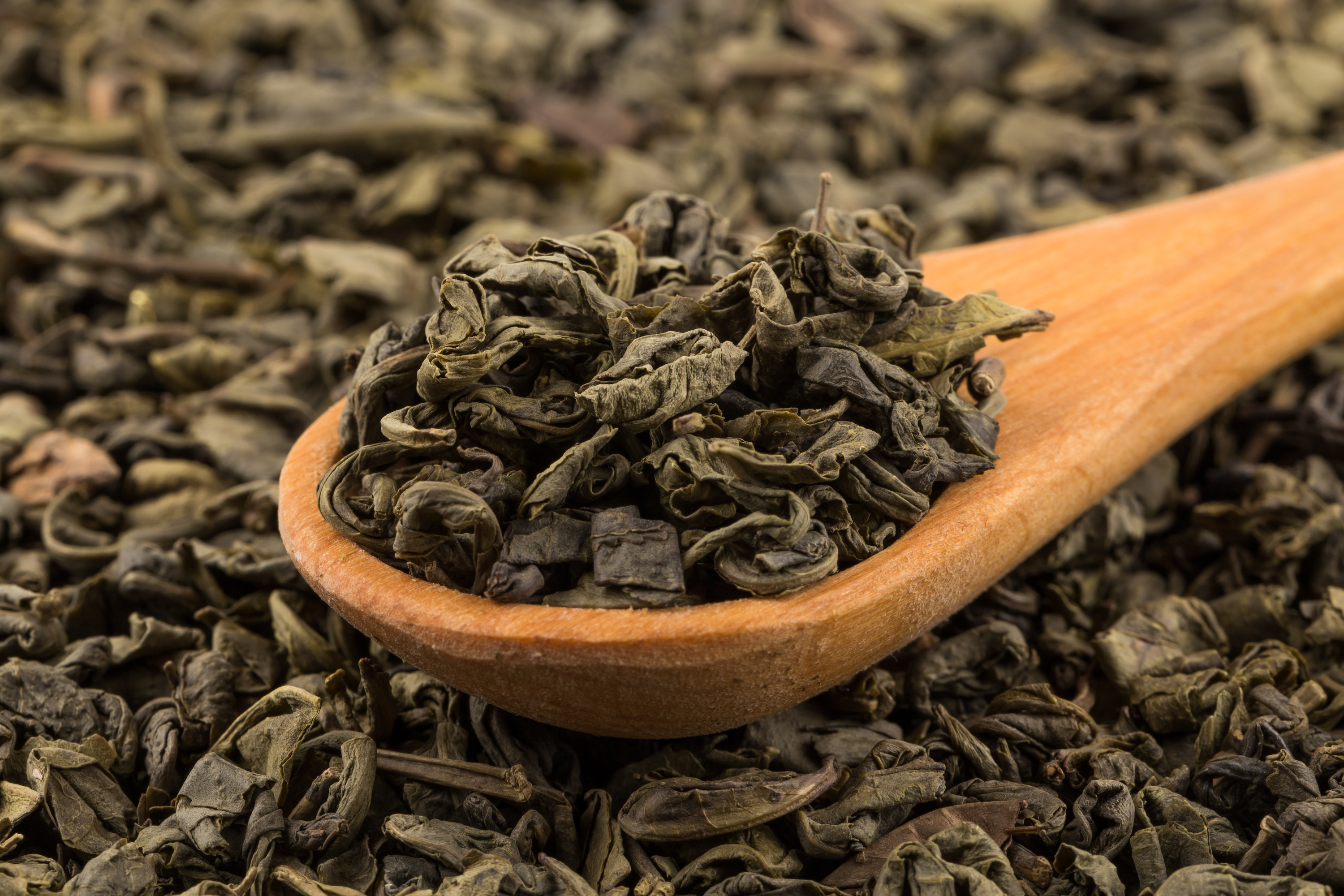 Gunpowder Tea: Pack a Punch With Tightly Packed Tea - Cup & Leaf