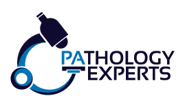 Patholytix Preclinical is Changing the Way We Think About Digital Pathology