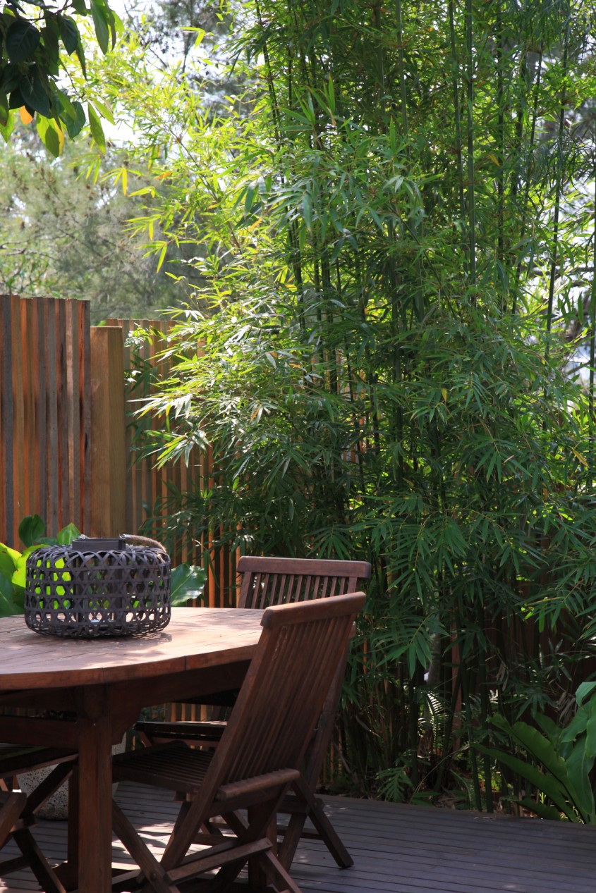 A RUSTIC COURTYARD IN GLEBE Inner West Landscape architecture | CALDesign
