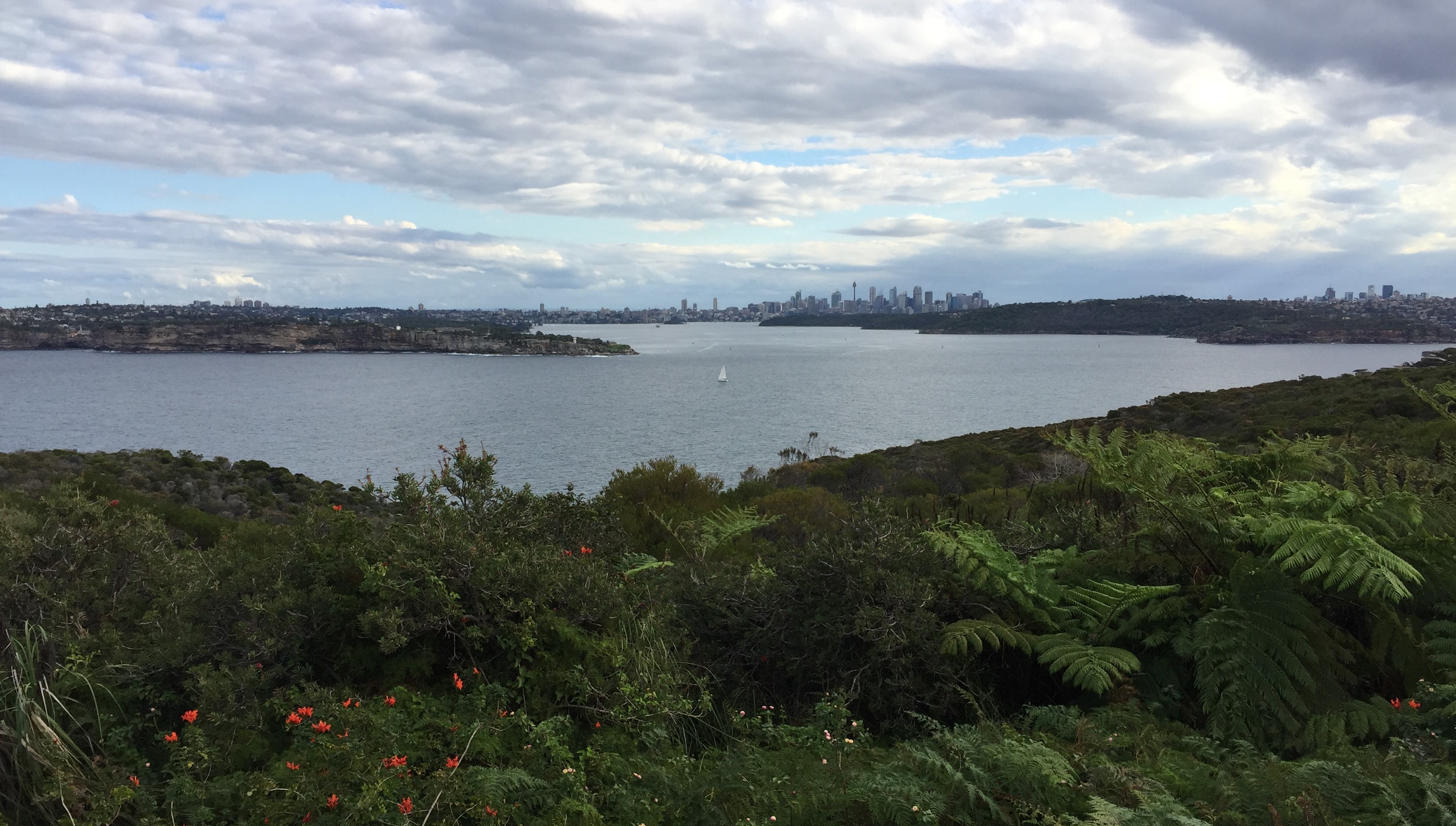 North Head Concept Development Plan Manly Landscape architecture ...