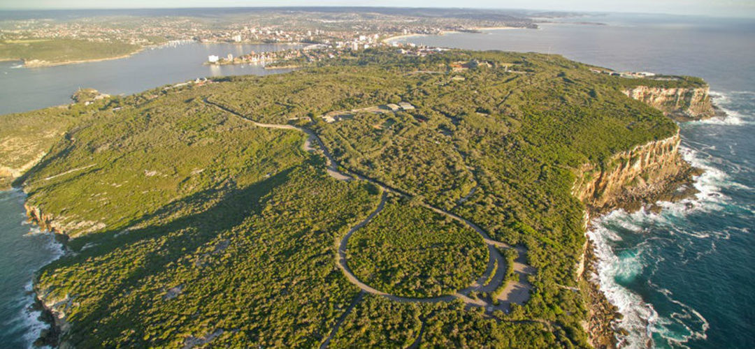 North Head Concept Master Plan Manly Landscape architecture | CALDesign