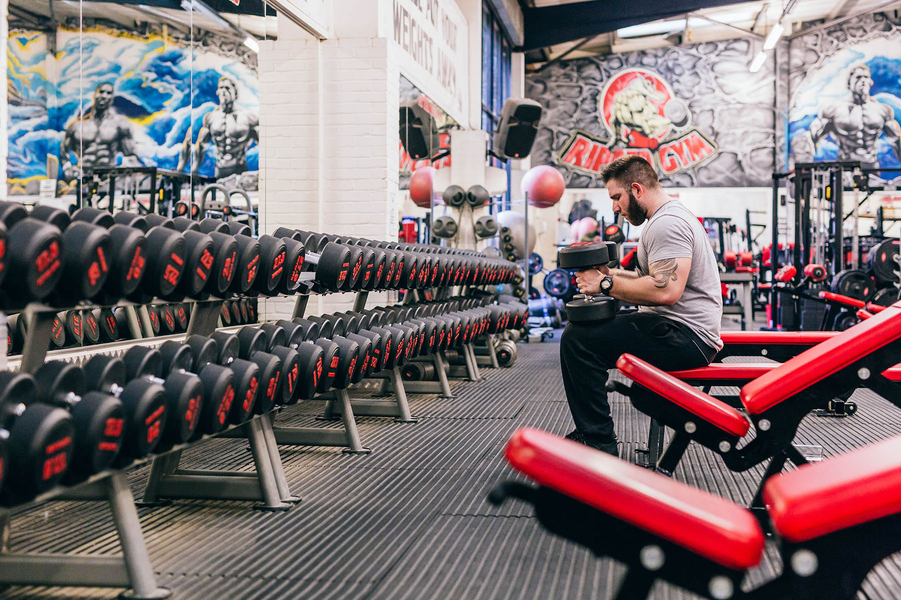 Club Rules - Ripped Gym - Harlow