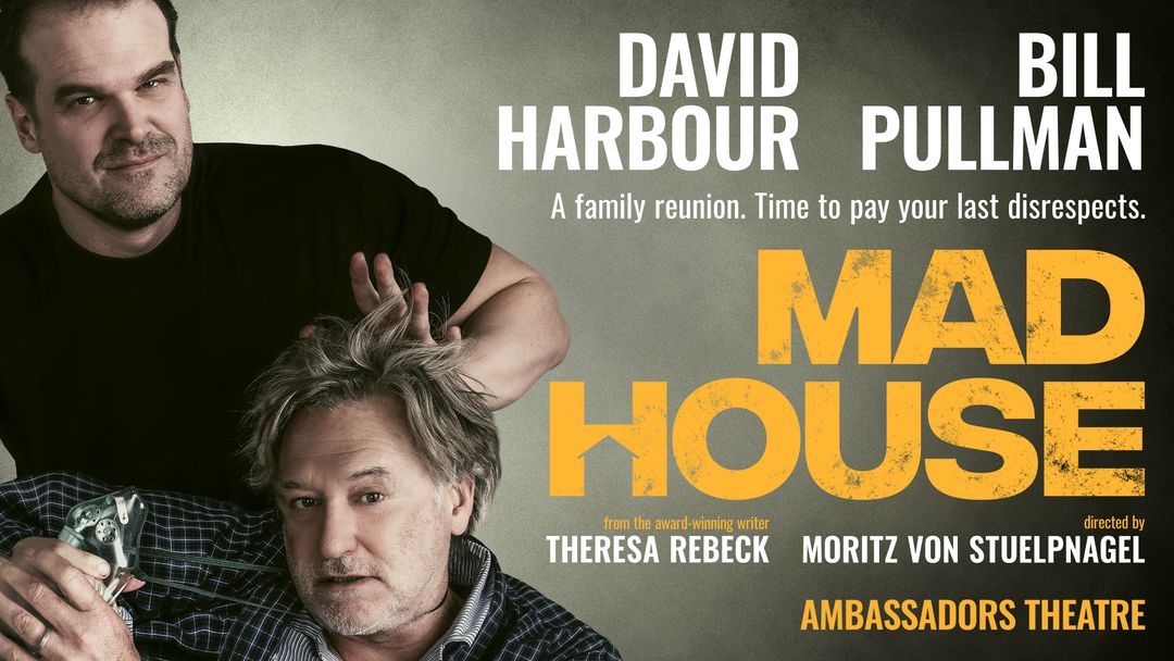 Mad House | Official Box Office | Ambassadors Theatre
