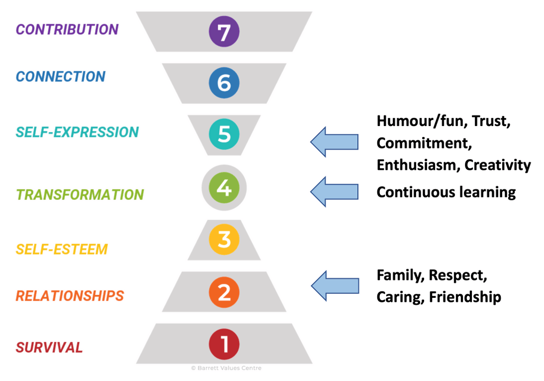 The Values of Humanity