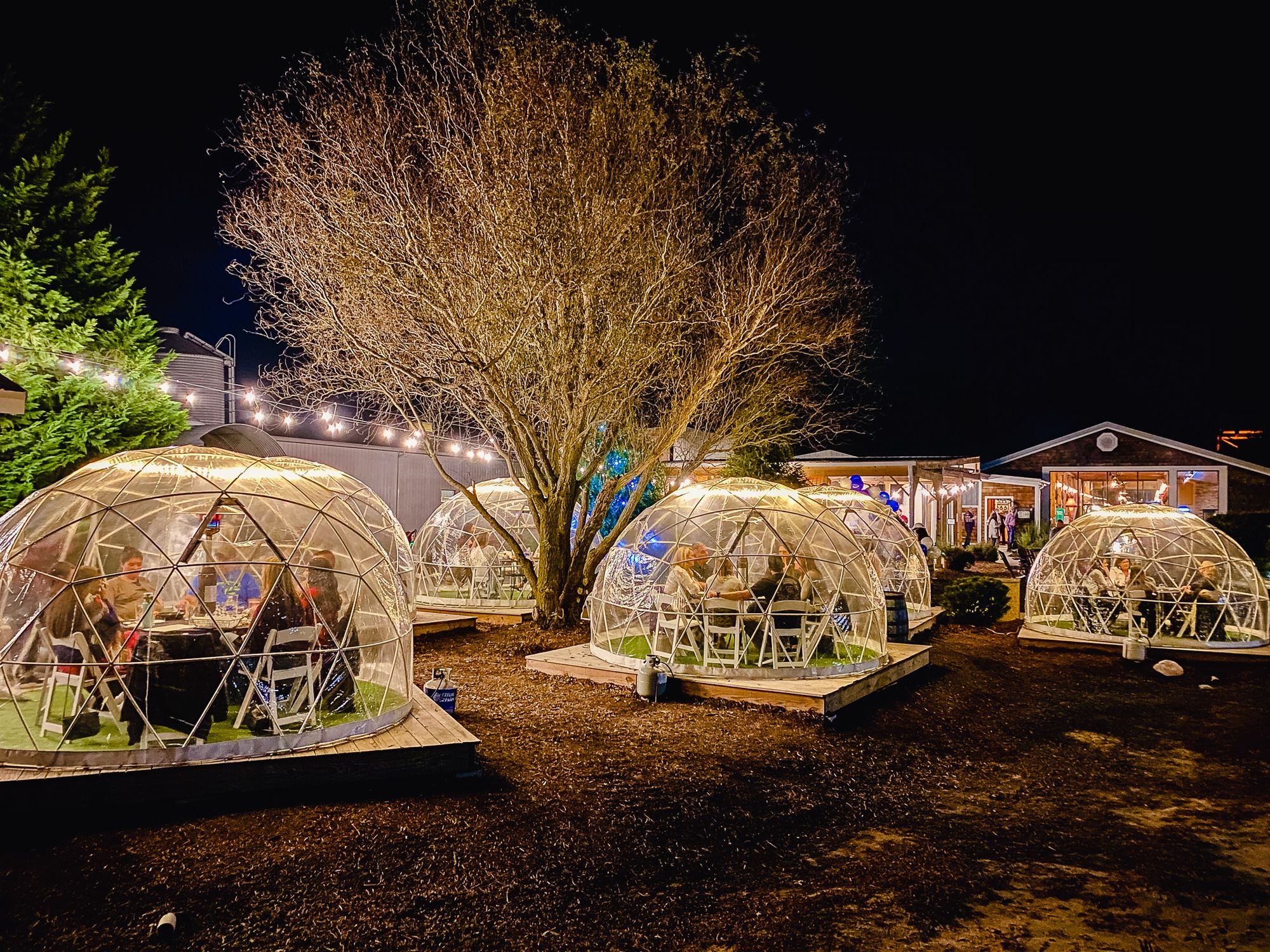 Private Igloos & New Outdoor Heated Pavilions Offer Quintessential ...