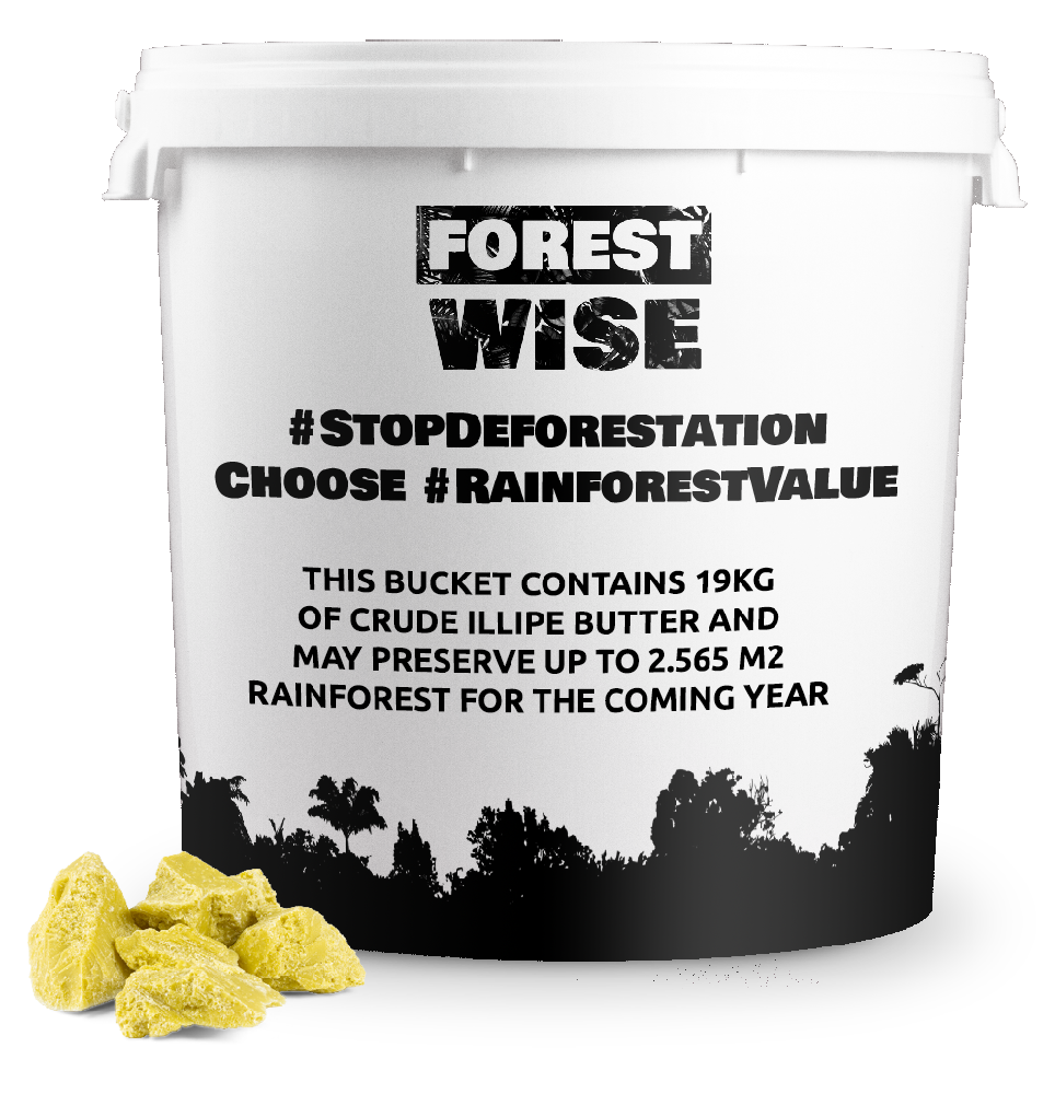Forestwise - Organic & FFL certified Crude Illipe Butter