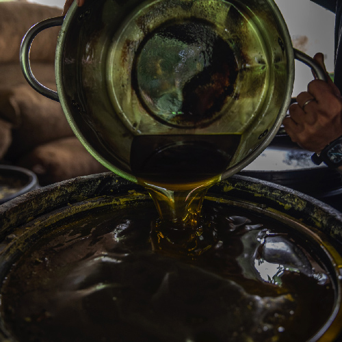 Forestwise - Organic FFL Illipe Butter RBD