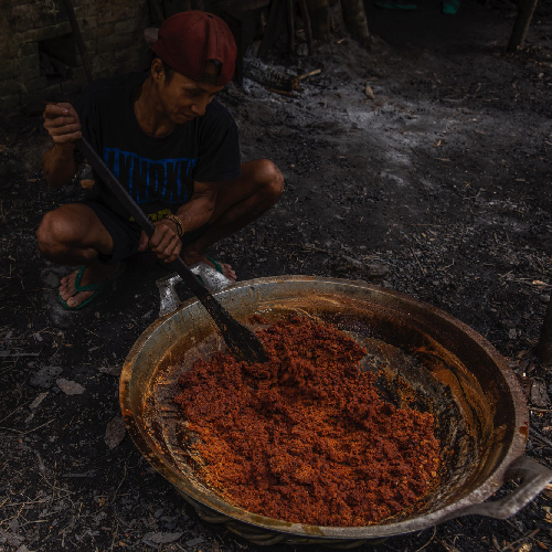 Forestwise - Organic Arenga Rainforest Sugar