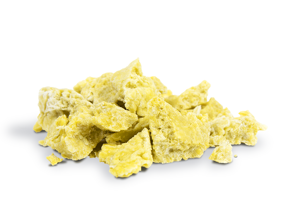 Forestwise - Organic FFL Illipe Butter Crude