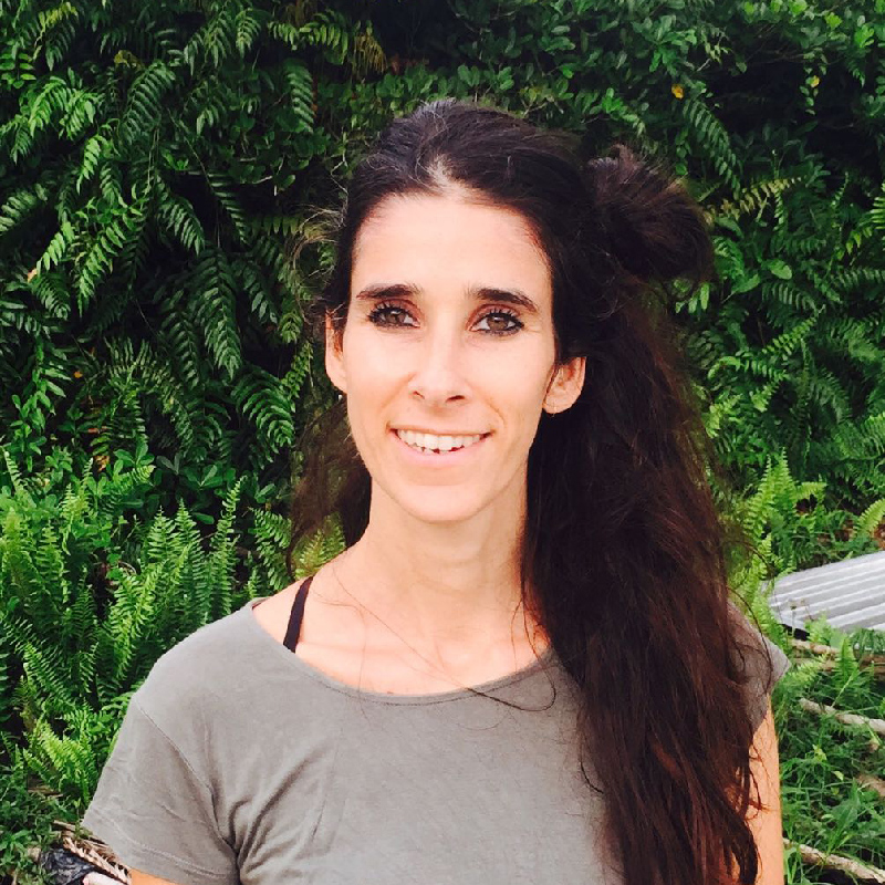 Forestwise - About us