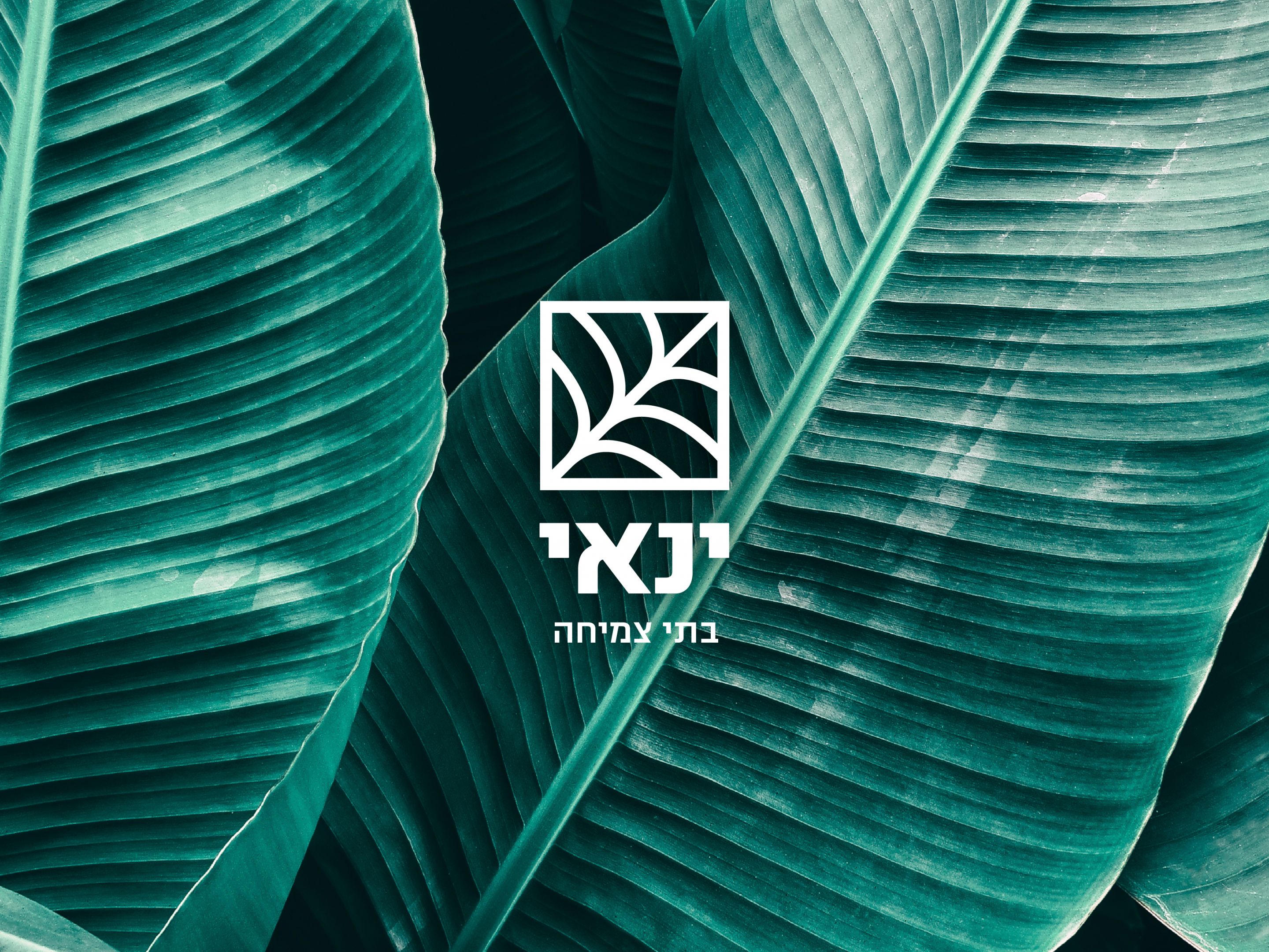 Awesome Tel Aviv: Yanay Case Study