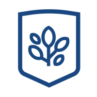 Del Bosque International School