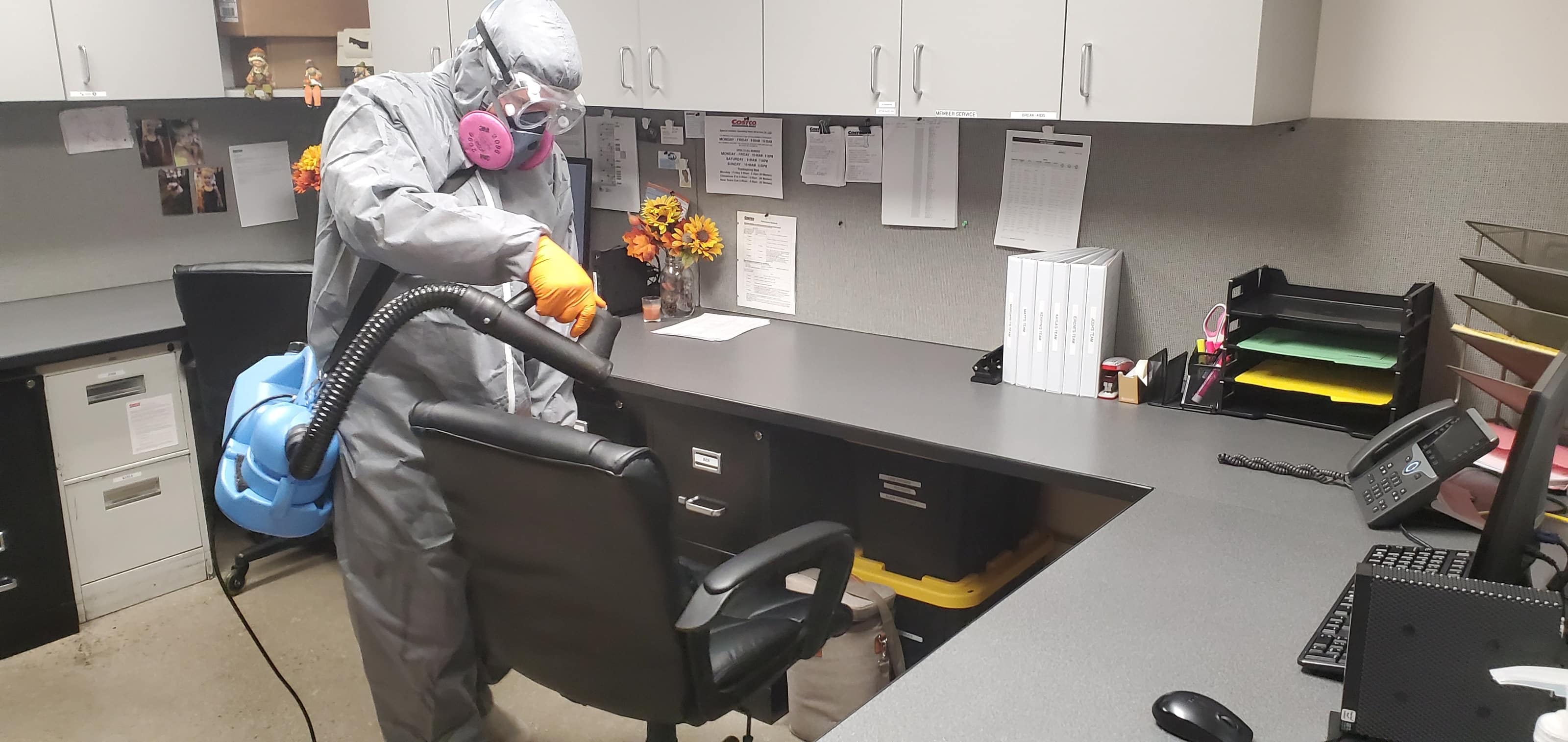 Expert Carpet Cleaning in Denver, CO | Robinson Custom Cleaning, Carpet ...